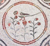 National Roman Museum - Colosseum Rome Tickets