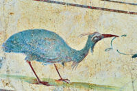 National Roman Museum - Colosseum Rome Tickets