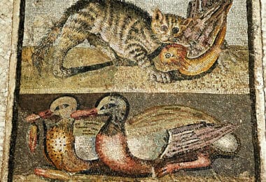 Piazza Venezia - Colosseum Rome Tickets