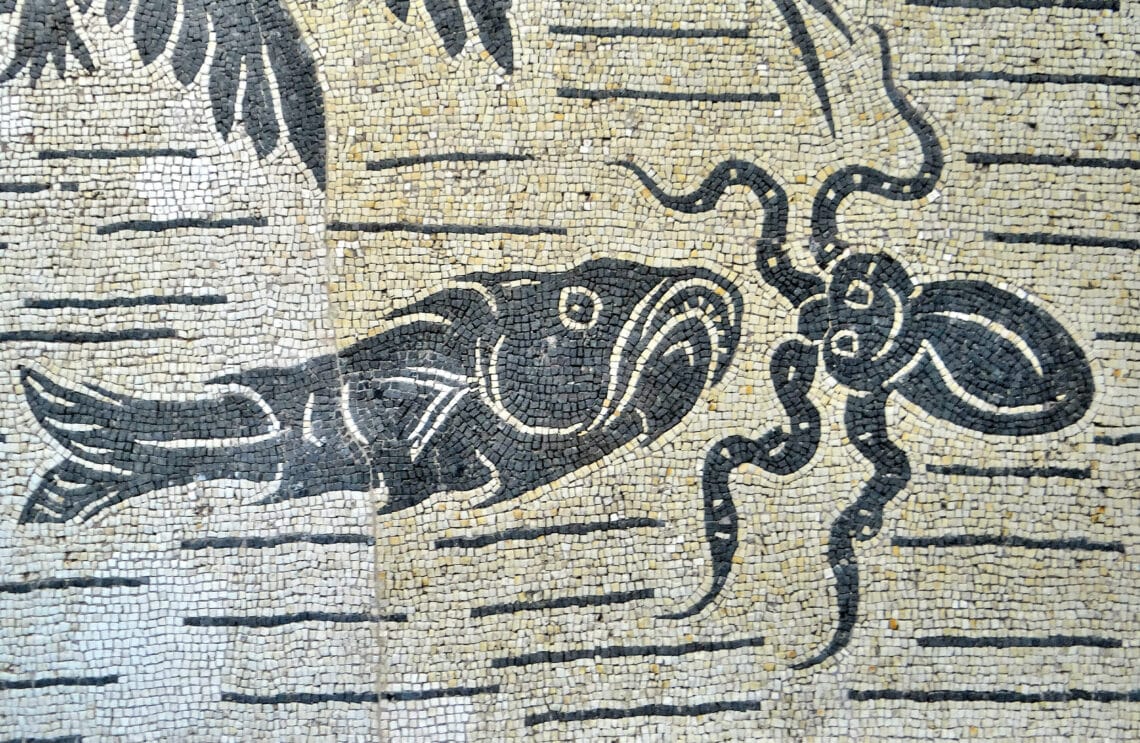 National Roman Museum - Colosseum Rome Tickets