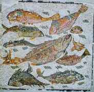 National Roman Museum - Colosseum Rome Tickets