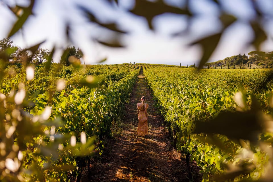 Frascati Wine Tasting Tour - Discover Rome's Hidden Gem